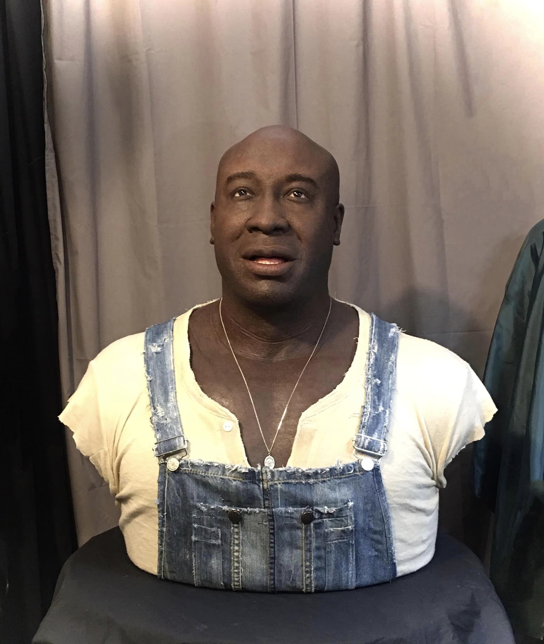 LA STATUE (OU LE BUSTE) DU JOUR